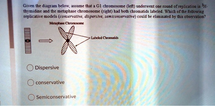 SOLVED: Given the diagram below, assume that G1 chromosome (left ...