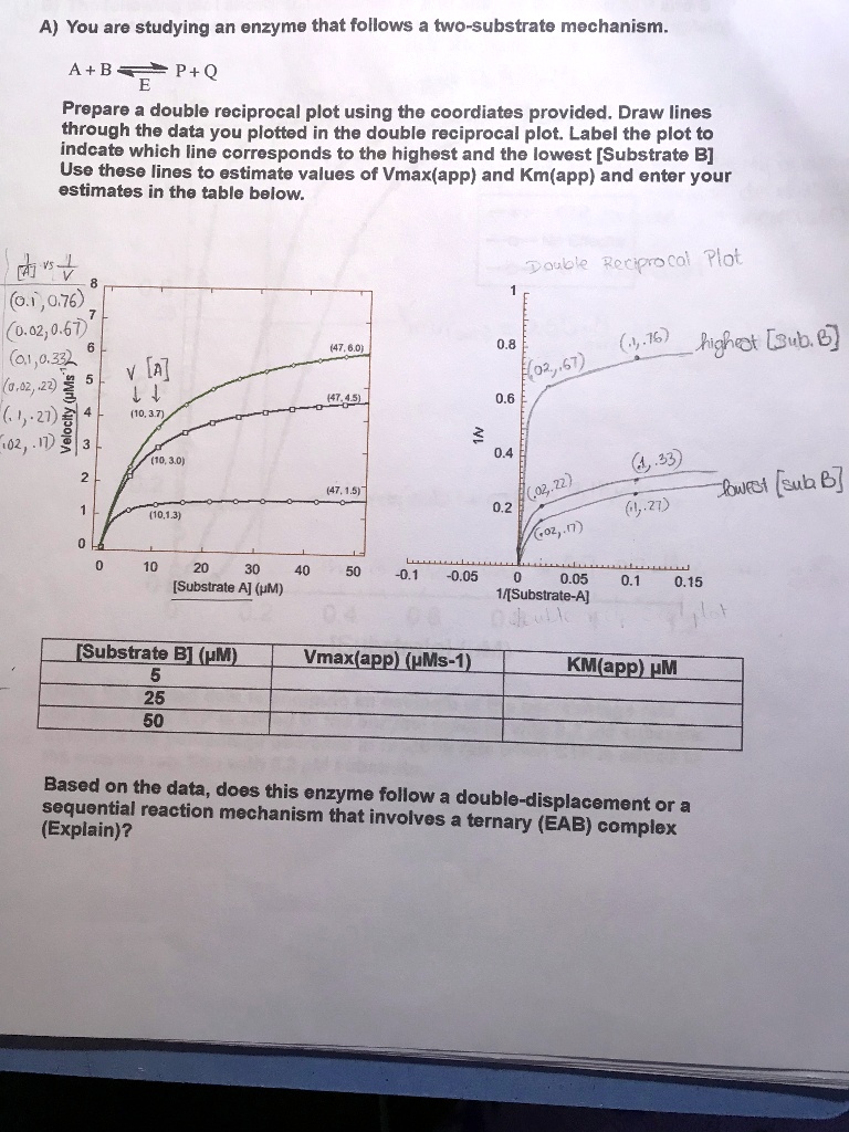 SOLVED: A) You are studying an enzyme that follows two-substrate ...
