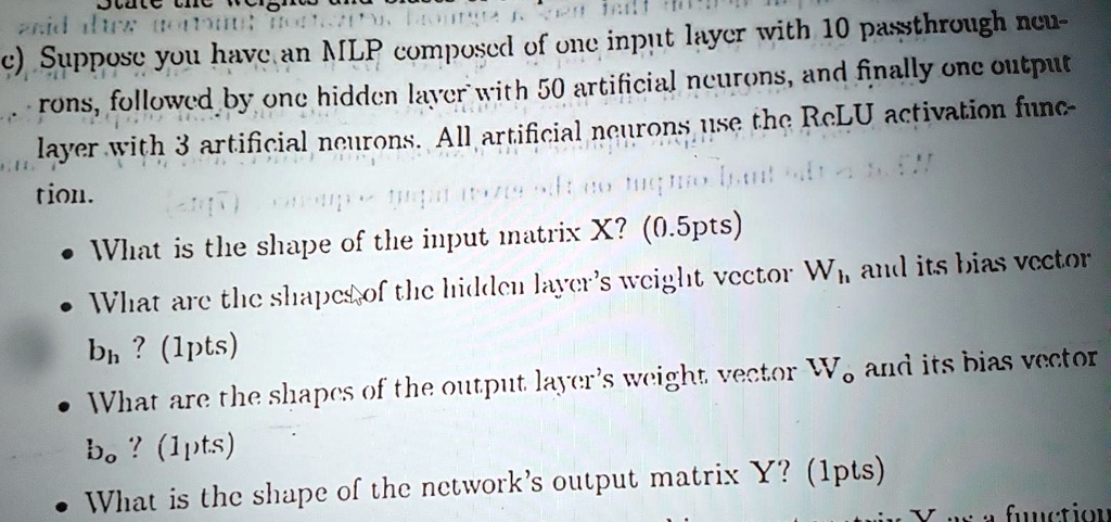 SOLVED: c) Suppose you have an MLP composed of one input layer with 10 passthrough neurons ...
