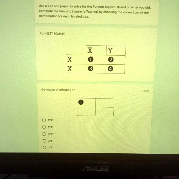 Use a pen and paper to solve for the Punnett Square. Based on what you did, complete the Punnett ...