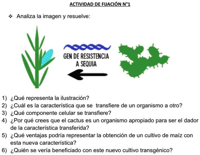 SOLVED: Ayudaaaa porfavor doy puntos ACTIVIDAD DE FWACIÓN N?1 Analiza ... SOLVED: Ayudaaaa porfavor doy puntos ACTIVIDAD DE FWACIÓN N?1 Analiza ...