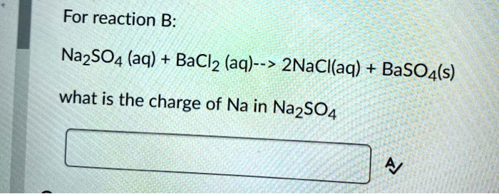 SOLVED: For reaction B: Na2SO4 (aq) + BaCl2 (aq) –> 2NaCl (aq) + BaSO4 ...