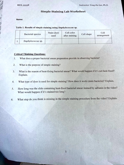 hioahk inqnctor youe in simple staining lab worksheet namc tahla ...