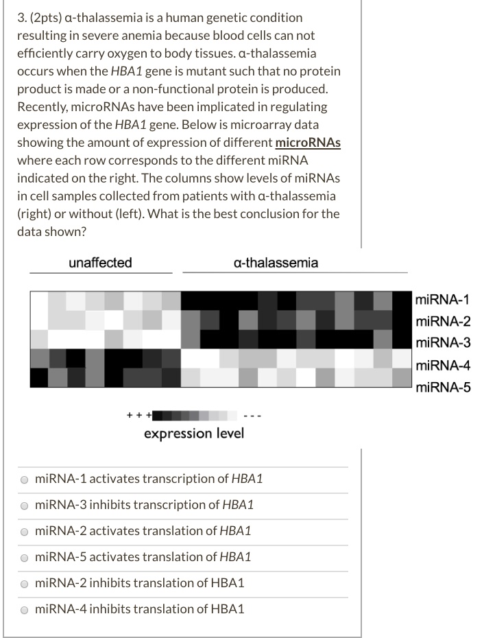 3 2pts a thalassemia is a human genetic condition resulting in severe ...