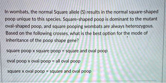 In wombats, the normal Square allele (S) results in the normal square ...