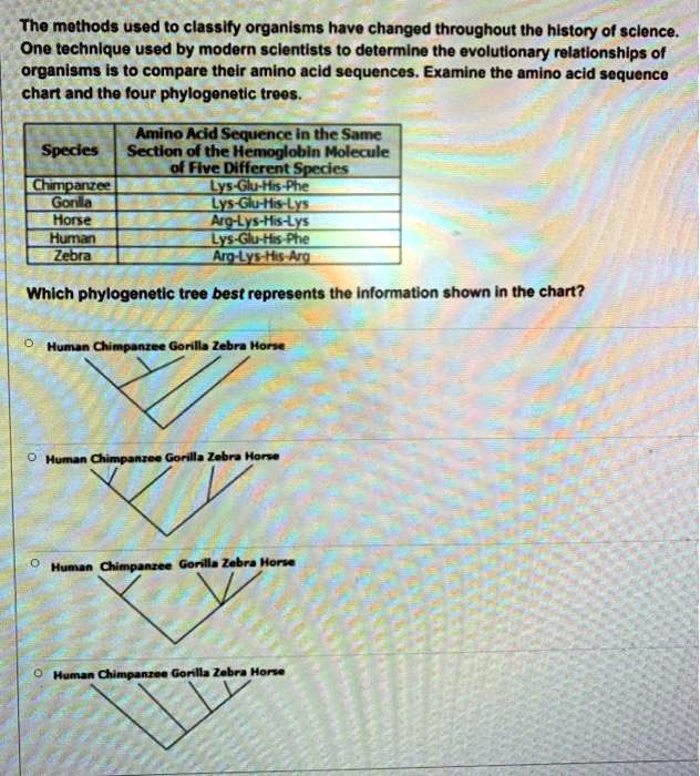 SOLVED: Which phylogenetic tree best represents the information shown ...