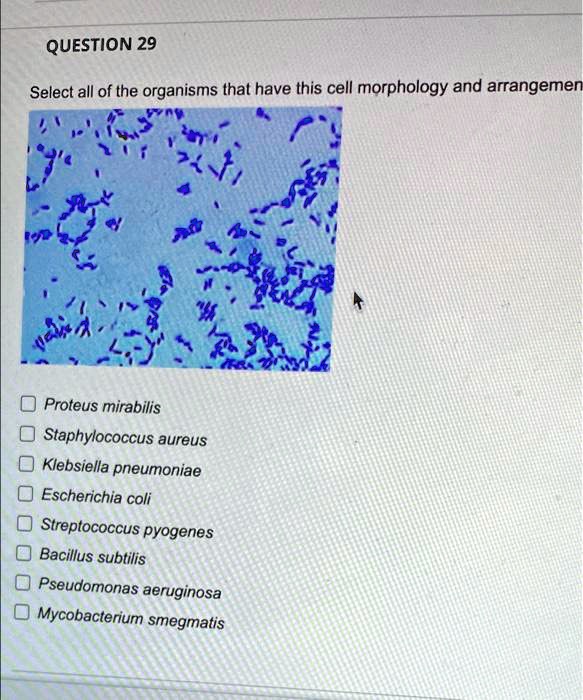 SOLVED: QUESTION 29 Select all of the organisms that have this cell ...