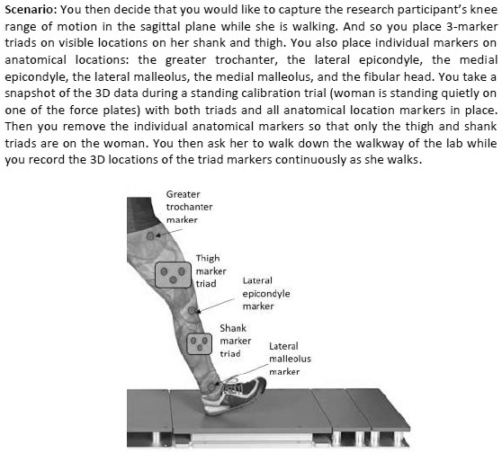 Scenario: You then decide that you would like to capture the research ...
