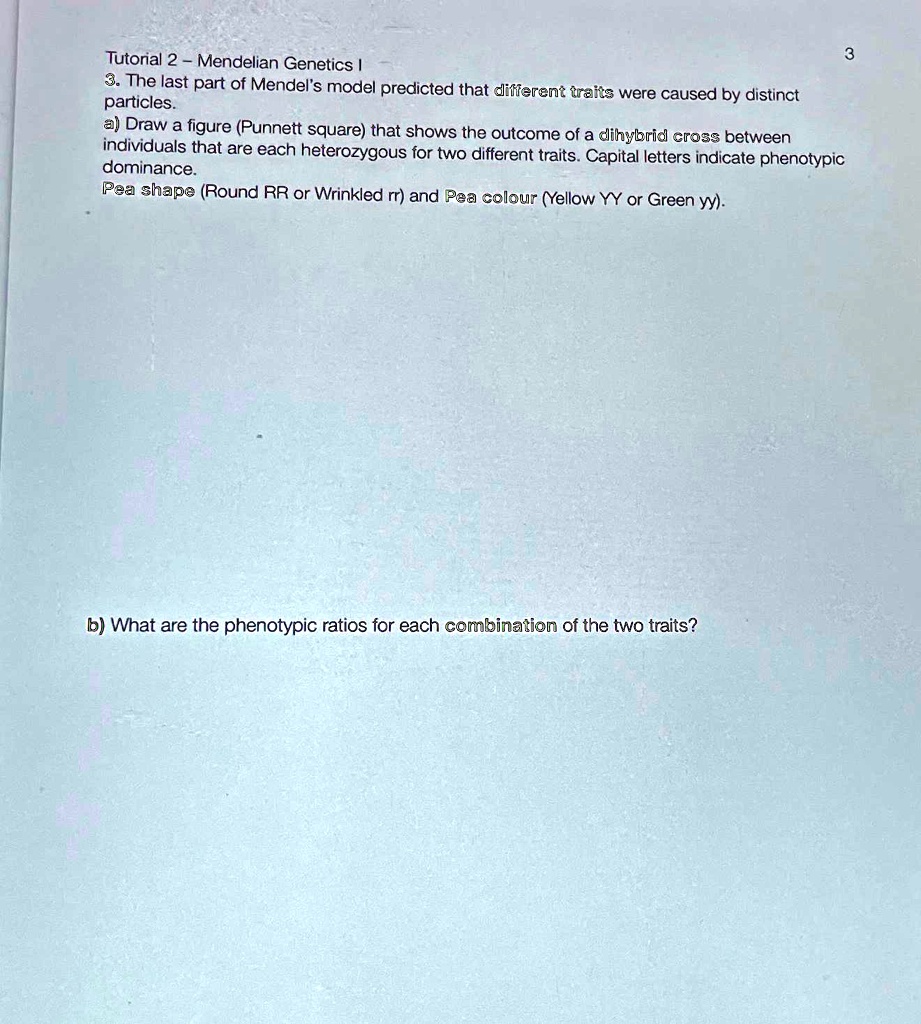 Tutorial 2 - Mendelian Genetics 1 3. The last part of Mendel's model ...
