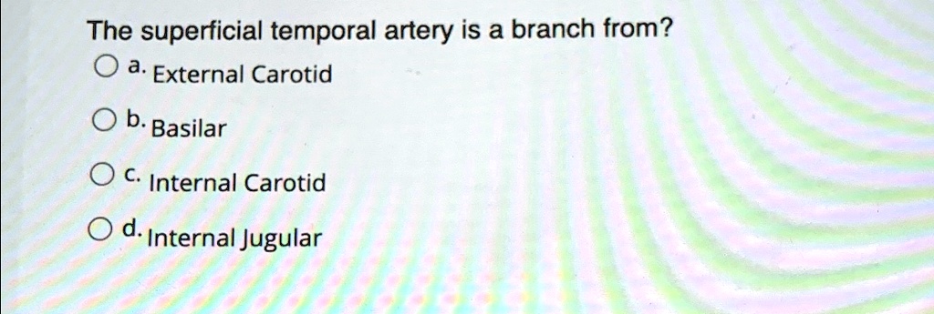 the superficial temporal artery is a branch from a external carotid b ...