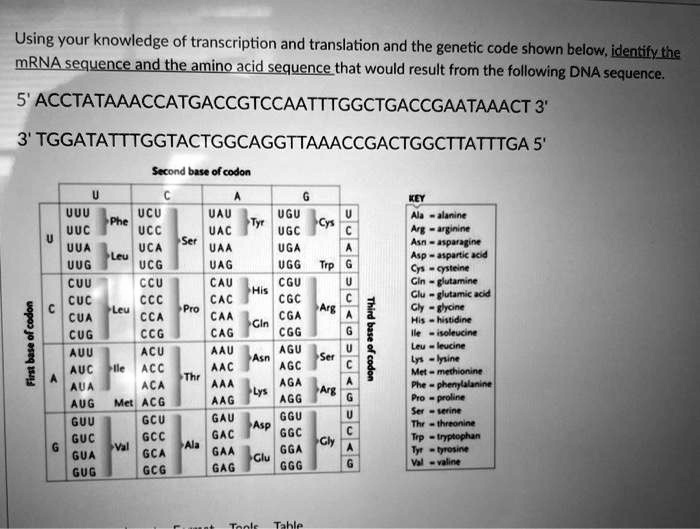 SOLVED: Using your knowledge of transcription and translation and the genetic code shown below ...