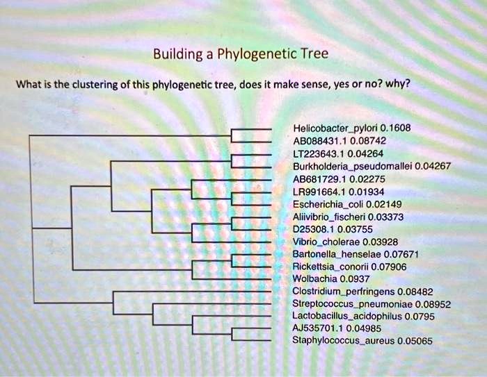 Building a Phylogenetic Tree What is the clustering of this ...
