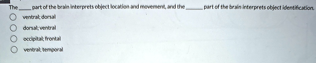 The part of the brain interprets object location and movement, and the part of the brain ...