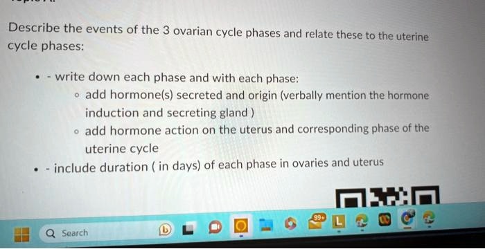 Describe the events of the 3 ovarian cycle phases and relate these to the uterine cycle phases ...