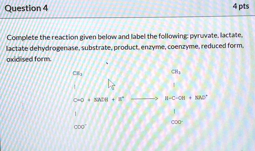 SOLVED: Complete the reaction given below and label the following: pyruvate, lactate; lactate ...