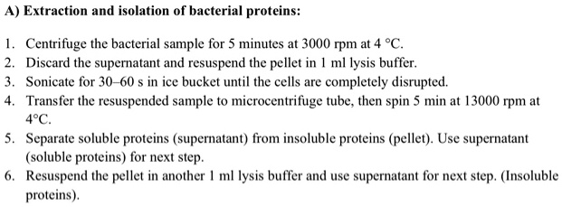 SOLVED: Extraction and isolation of bacterial proteins: Centrifuge the ...