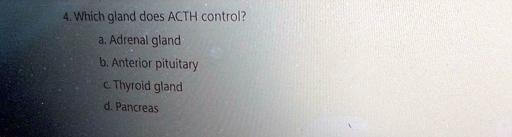 Which gland does ACTH control? a. Adrenal gland b. Anterior pituitary c ...
