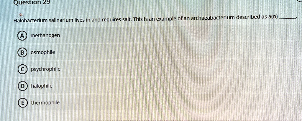 question 29 halobacterium salinarium lives in and requires salt this is ...