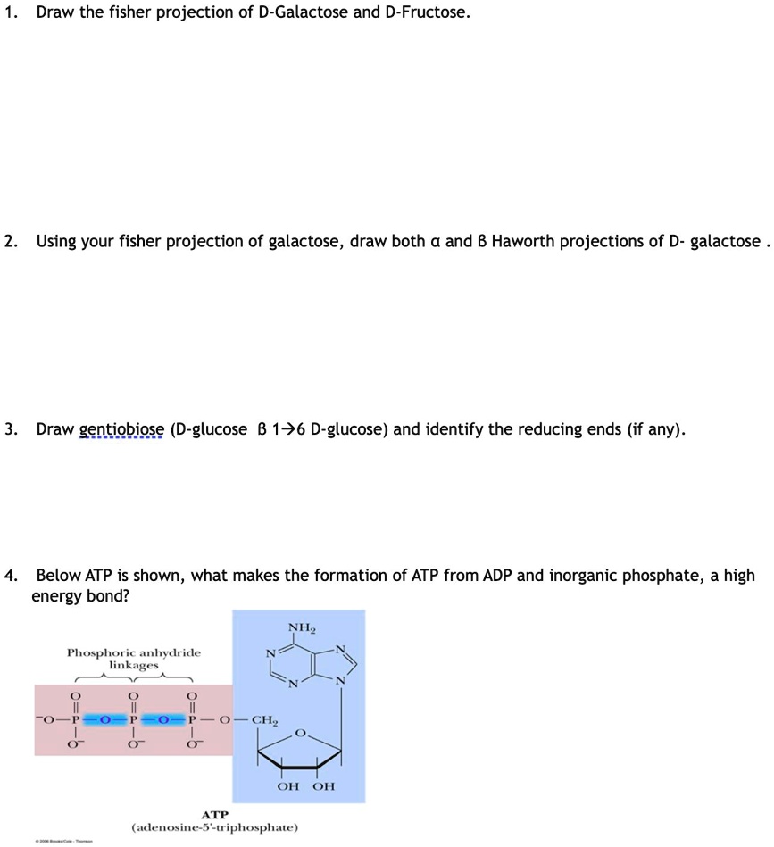draw the fisher projection of d galactose and d fructose using your ...