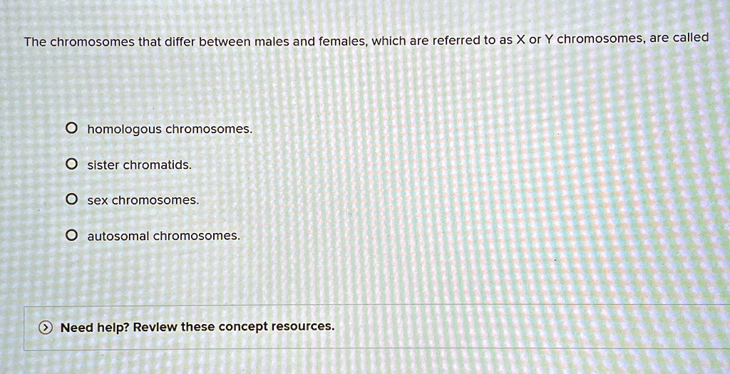 Solved The Chromosomes That Differ Between Males And Females Which Are Referred To As X Or Y