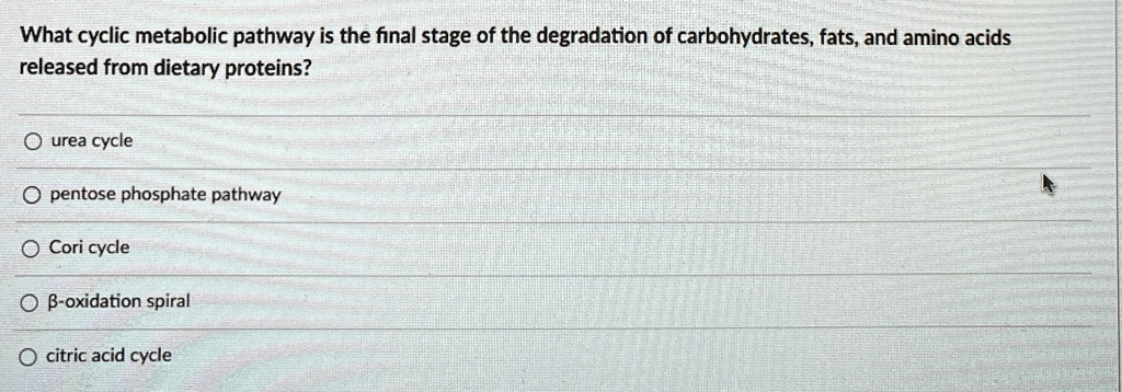 What cyclic metabolic pathway is the final stage of the degradation of ...