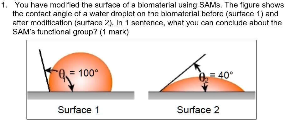 SOLVED: 1 You have modified the surface of a biomaterial using SAMs ...