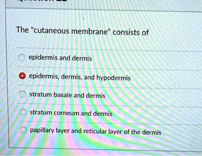 SOLVED: The "cutaneous membrane" consists of the epidermis and dermis ...