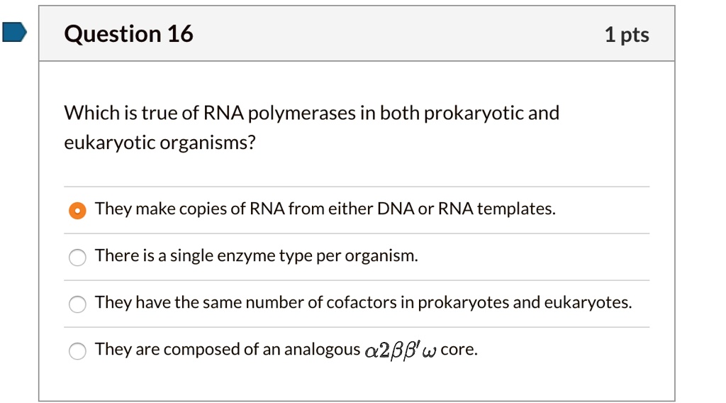 SOLVED: Which is true of RNA polymerases in both prokaryotic and eukaryotic organisms? They make ...