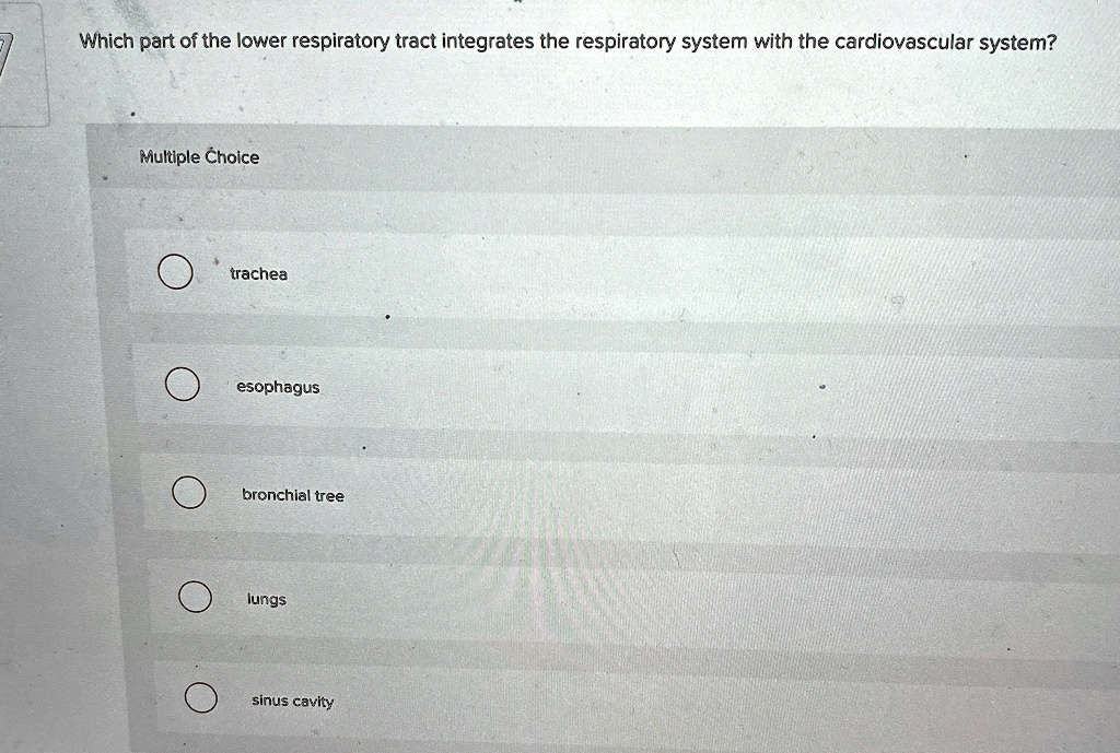 which part of the lower respiratory tract integrates the respiratory ...