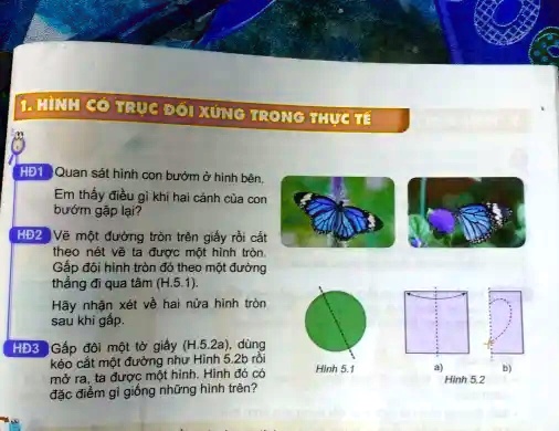 1. HÌNH CÓ TR?C ??I X?NG TRONG TH?C T? H?1 Quan sát hình con b??m ? hình bên. Em th?y ?i?u gì ...