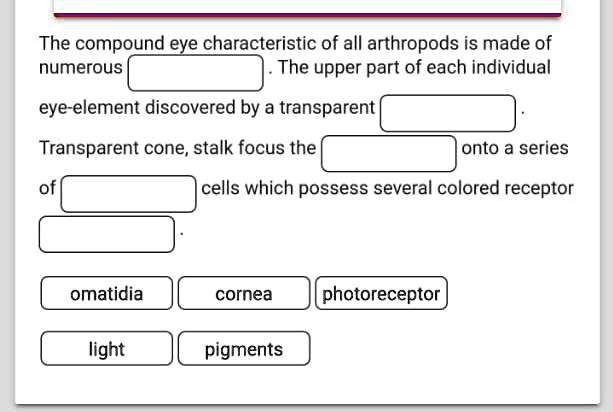 the compound eye characteristic of all arthropods is made of numerous ...
