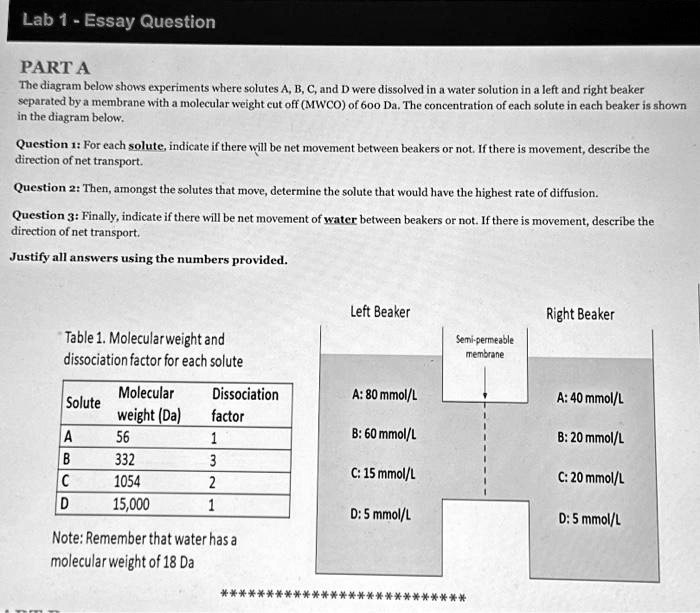 Lab 1- Essay Question PART A The diagram below shows experiments where ...