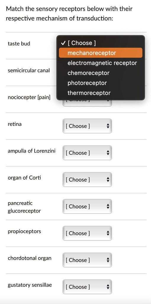 SOLVED: Match the sensory receptors below with their respective ...