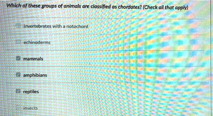 SOLVED: Which of these groups of animals are classified as chordates ...