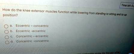 SOLVED: Tome left o How do the knee extensor muscles function while ...