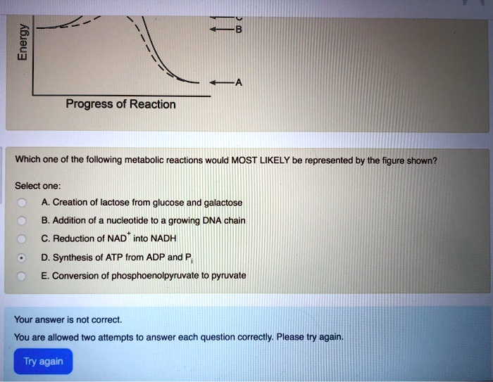 SOLVED: Energy Progress of Reaction Which one of the following ...
