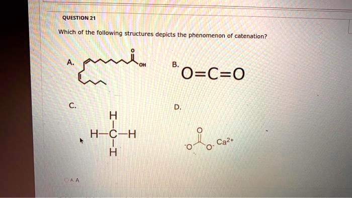 SOLVED: QUESTION 21 Which of the following structures depicts the ...