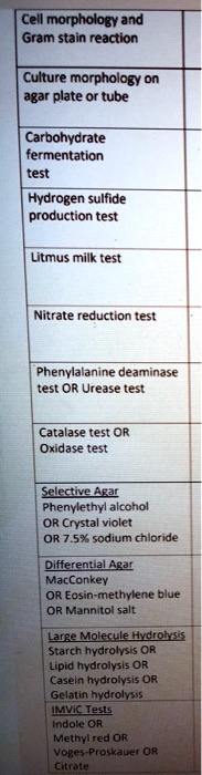 Cell morphology and Gram stain reaction Culture morphology on agar ...