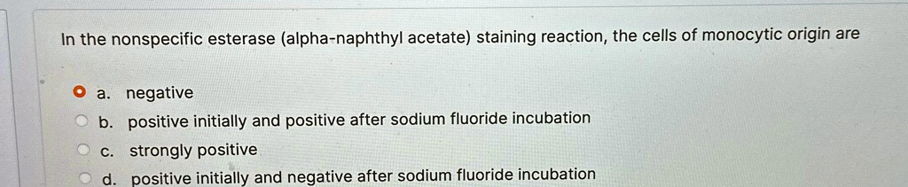 SOLVED: In the nonspecific esterase (alpha-naphthyl acetate) staining ...