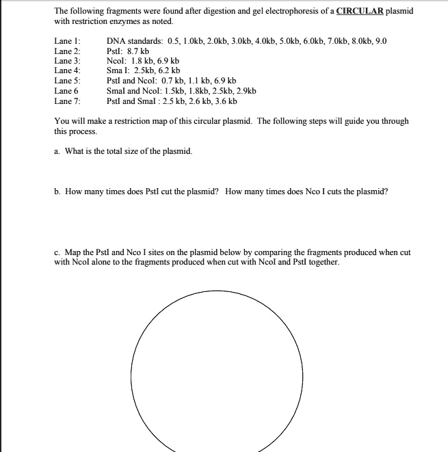 The following fragments were found after digestion and gel electrophoresis of a CIRCULAR plasmid ...