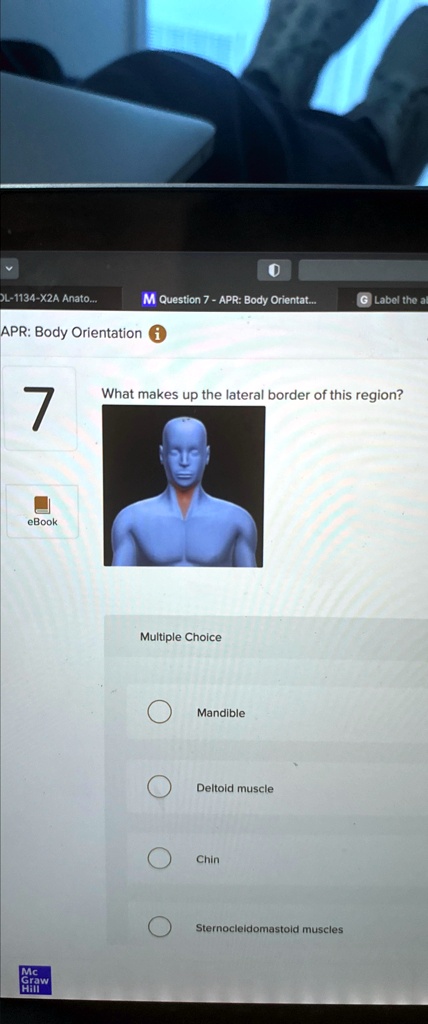 APR: Body Orientation 7 What makes up the lateral border of this region ...