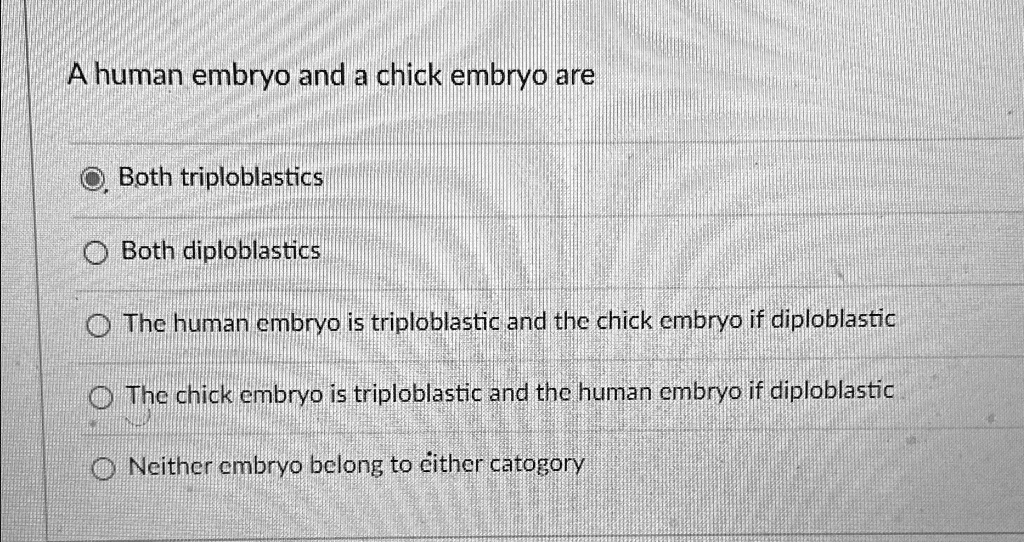 A human embryo and a chick embryo are Both...