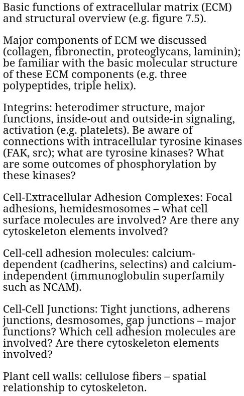 SOLVED: Basic functions of extracellular matrix (ECM) and structural overview (e.g: figure 7.5 ...