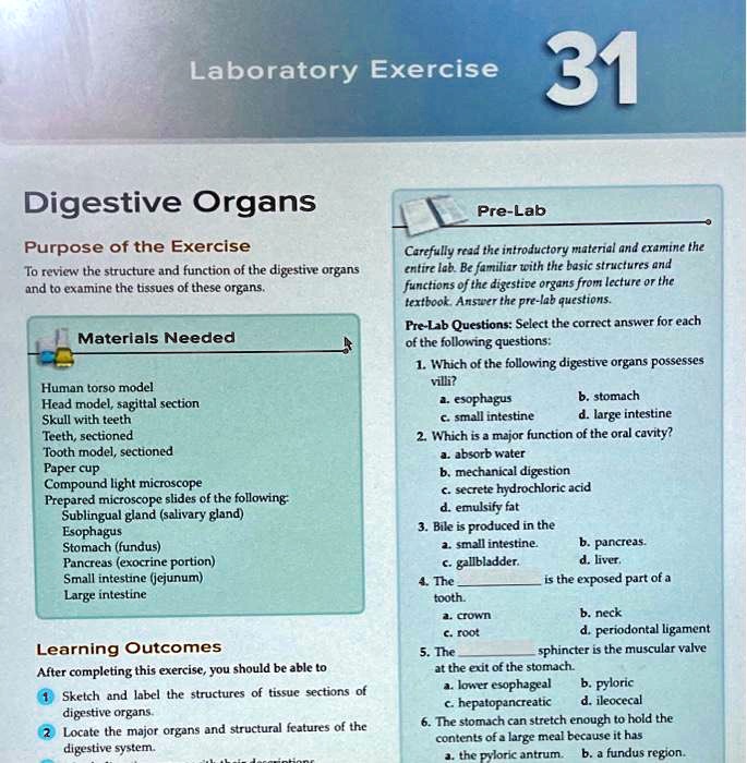 SOLVED: Laboratory Exercise 31 Digestive Organs Purpose of the Exercise ...