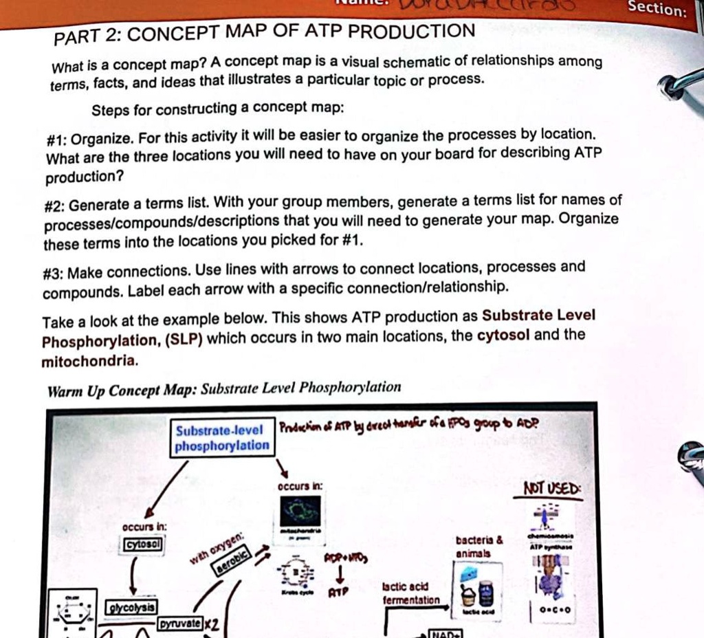 PART 2: CONCEPT MAP OF ATP PRODUCTION What is a concept map? A concept ...