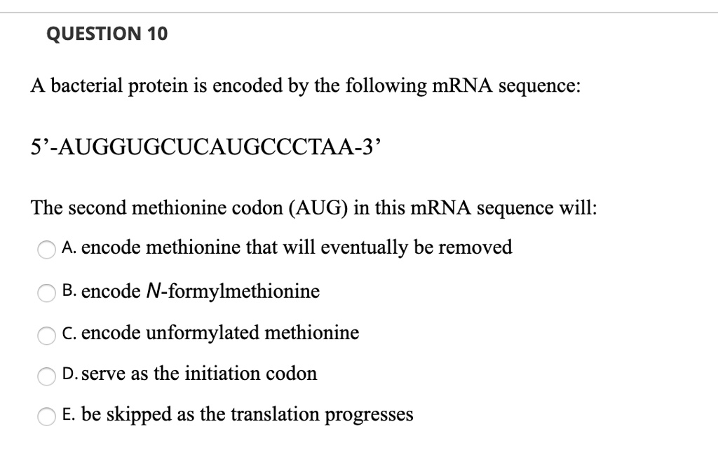 SOLVED: QUESTION 10 bacterial protein is encoded by the following mRNA ...