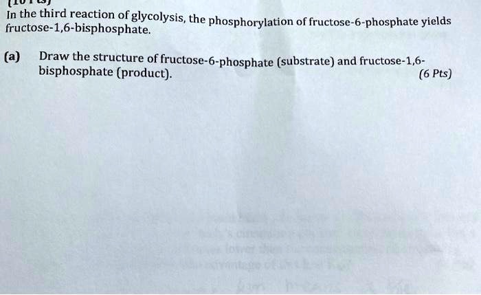 i1u in the third reaction of glycolysis the fructose 16 bisphosphate ...