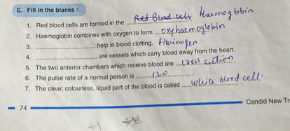 E. Fill in the blanks : 1. Red blood cells are formed in the Red Blond ...