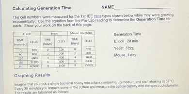Calculating Generation Time NAME The cell numbers were measured for the ...