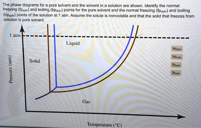 SOLVED: The phase diagrams for a pure solvent and the solution. The phase diagrams for a pure ...